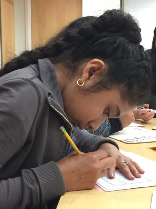 ENGAGING MATH CURRICULUM - MATH CEO